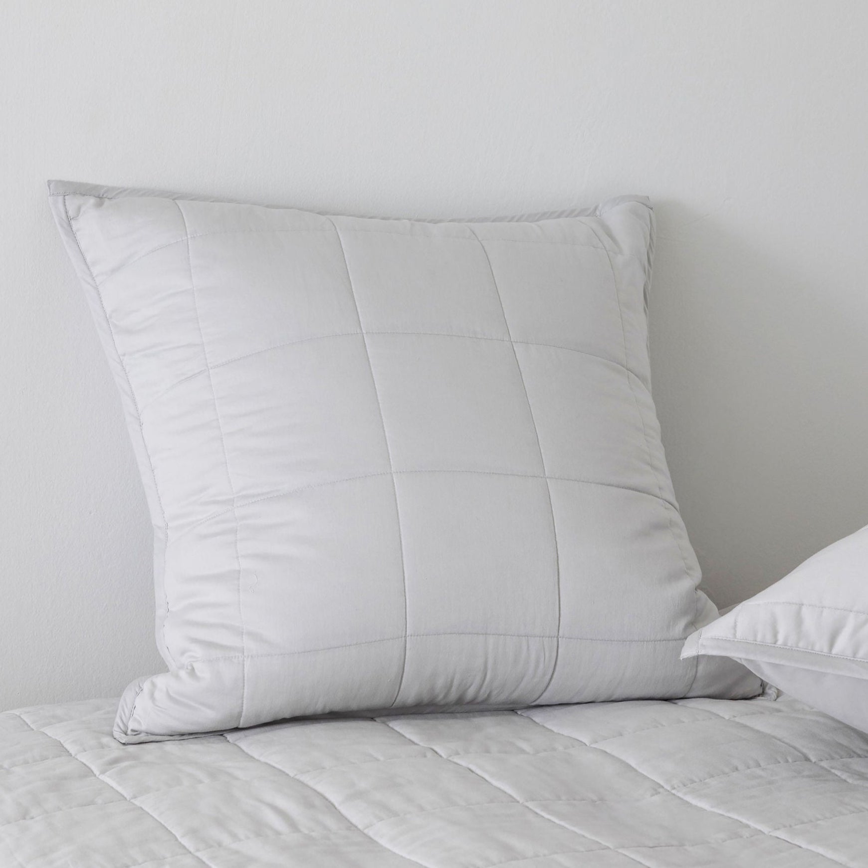 Organic Lustre Box Sham – Sierra Dreams